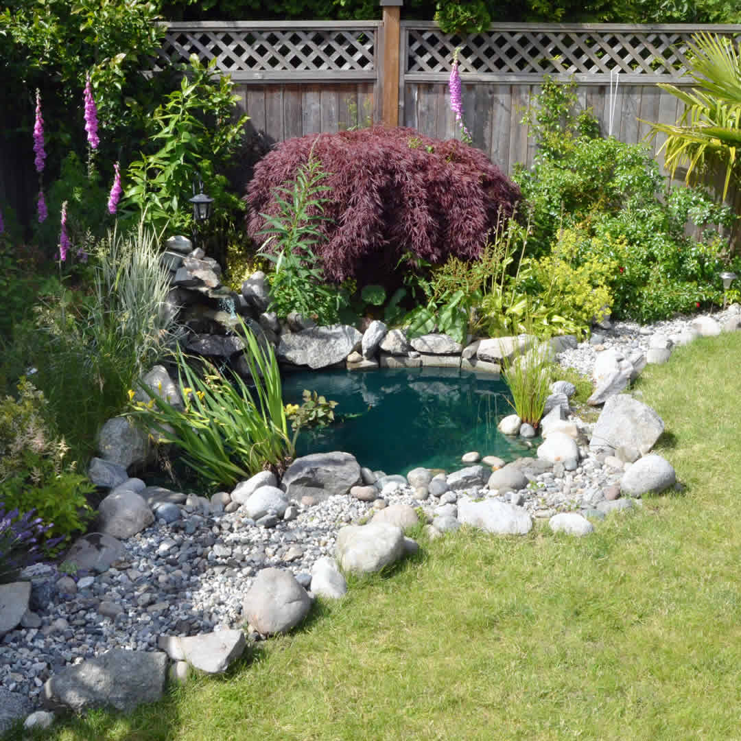 Estructura De Estanque Artificial Guía De Cómo Crear Un Estanque